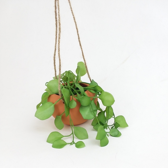 Target | Accents | Target Hanging Plant Boho Planter | Poshmark